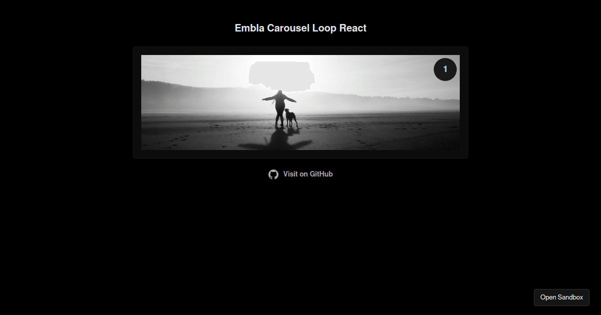 embla-carousel-loop-react - Codesandbox