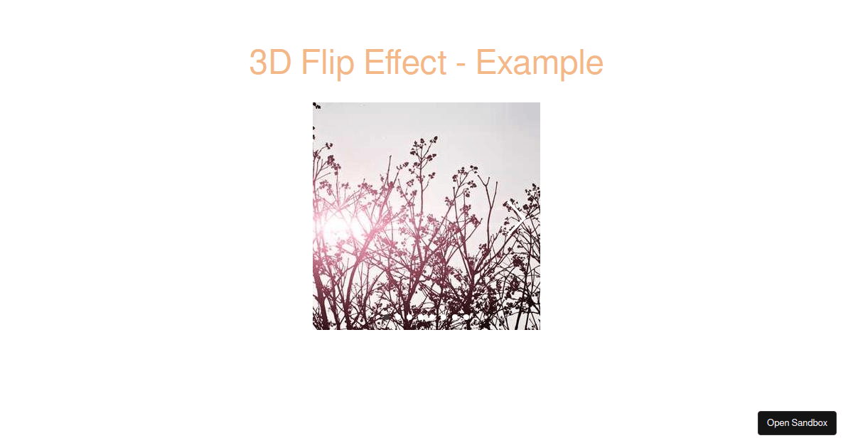 3D Flip Effect - Example - Codesandbox