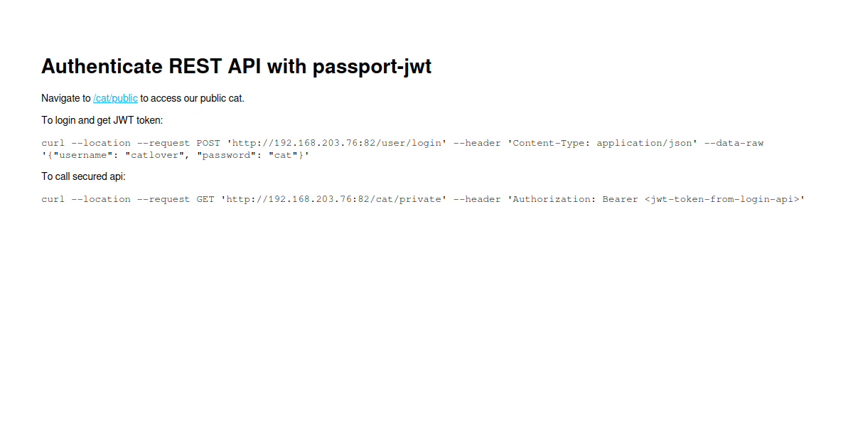 Api Passport Jwt Codesandbox