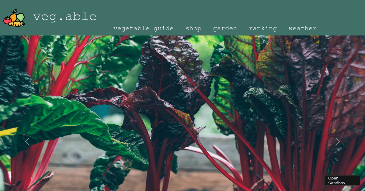 vegable - Codesandbox