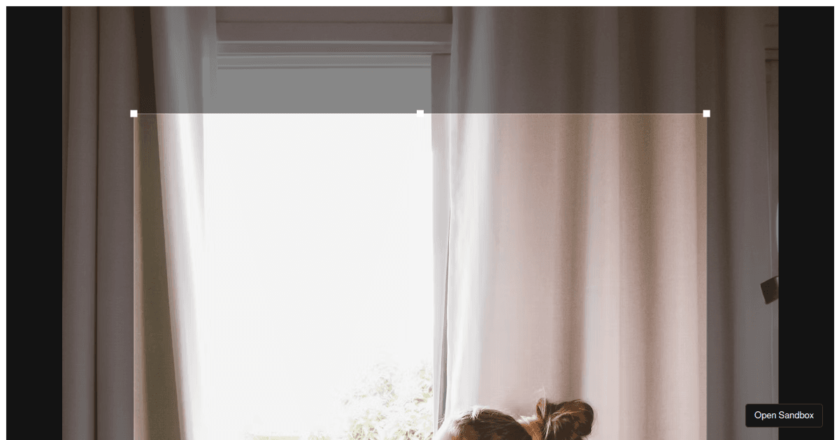 Vue Advanced Cropper Resize Image Codesandbox 8212