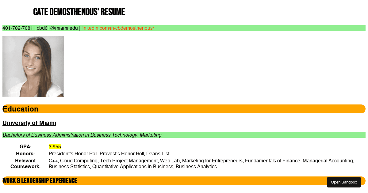 Resume Copy - Codesandbox