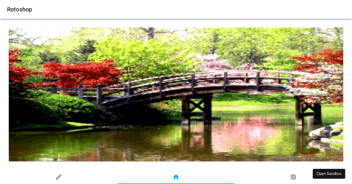 rotoshop - Codesandbox