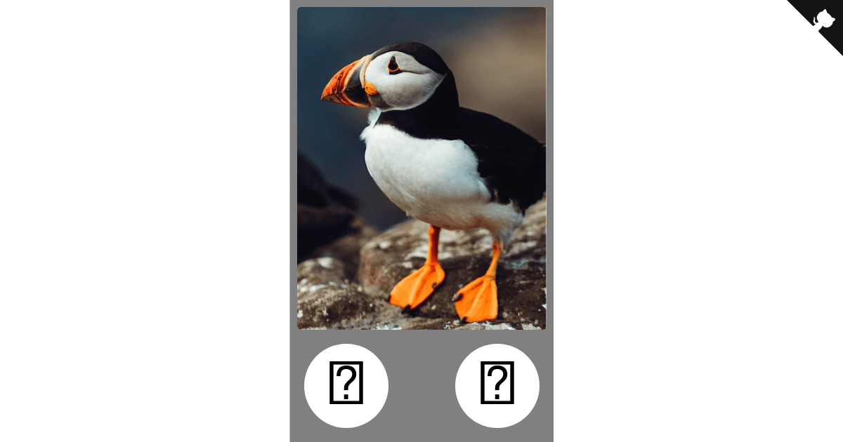 Tinder like card swiper - Codesandbox