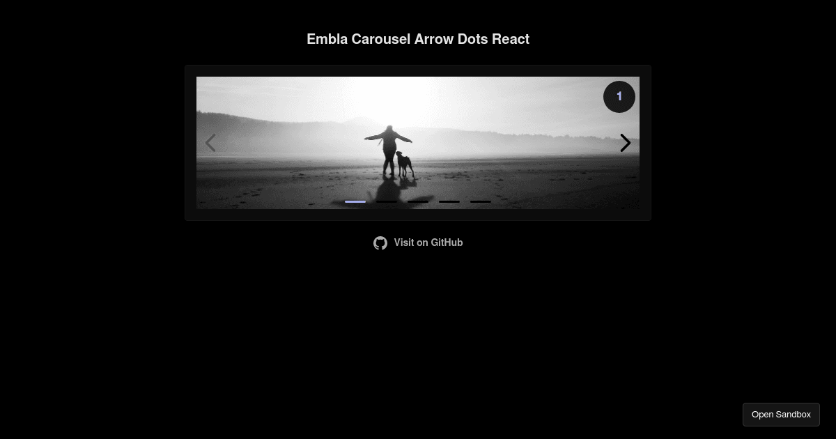 embla-carousel-arrow-dots-react - Codesandbox