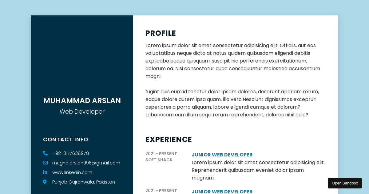 React CV - Codesandbox