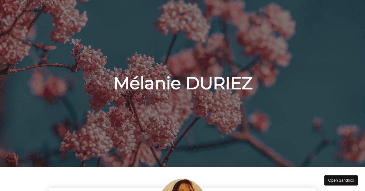 decouverte-code-melanie - Codesandbox