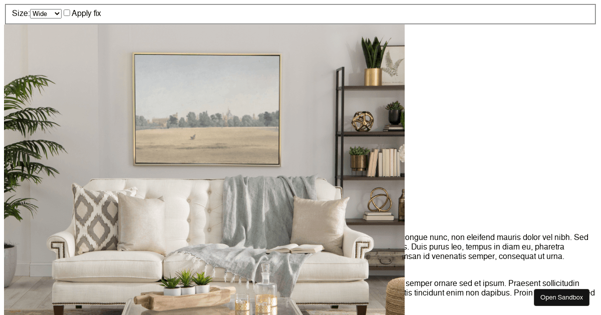 React Image Magnifiers Size Bug Forked Codesandbox