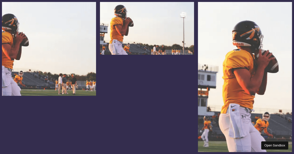 TwicPics x Vue 3 - Basic - Codesandbox