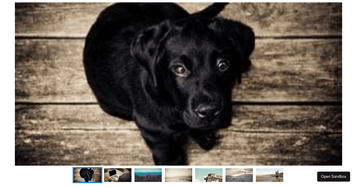 react-image-gallery (forked) - Codesandbox