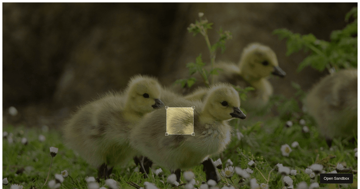 react-image-crop library. - Codesandbox