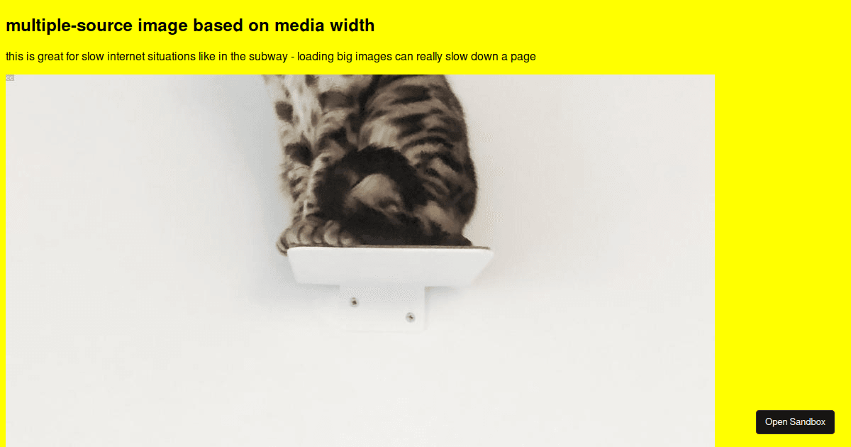 Images in HTML ( multi source image, SVG, transparency ) - Codesandbox