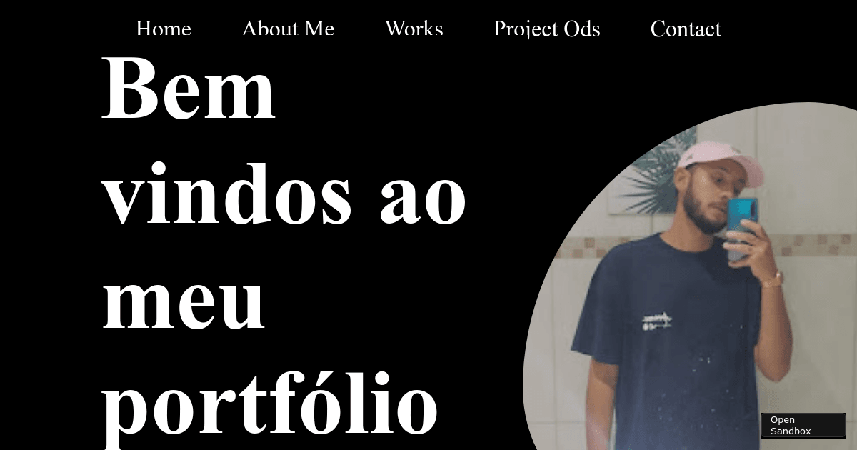 portfolio - Codesandbox