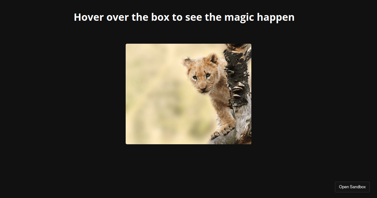 Nefejames Framer Motion Image Hover Codesandbox
