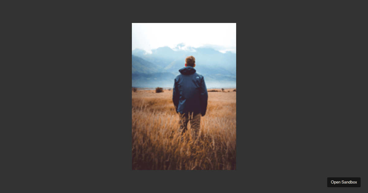 Css Flip Card Animation Codesandbox 4962
