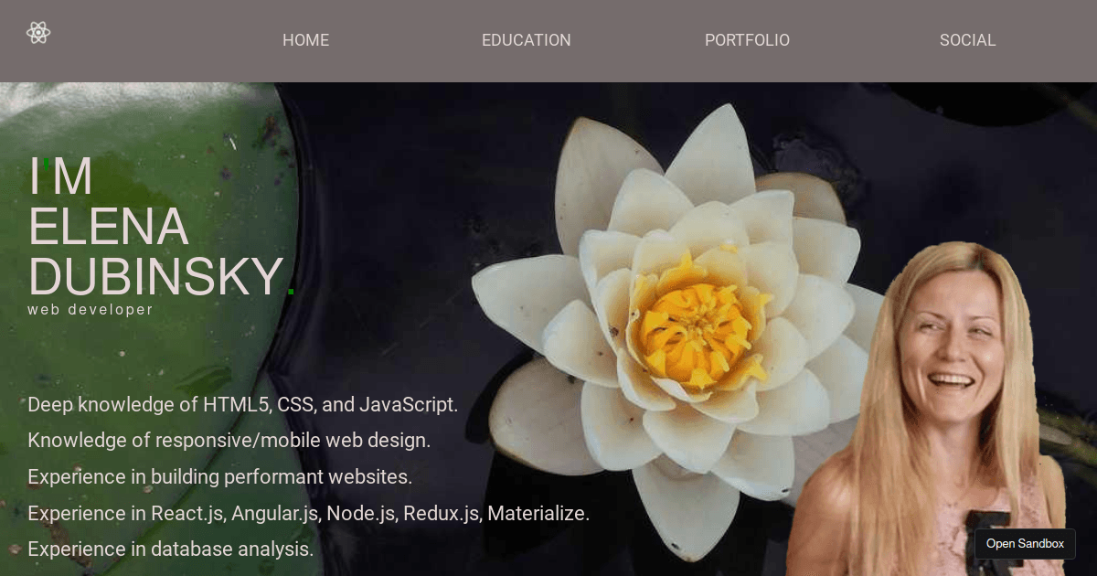Resume-Elena - Codesandbox