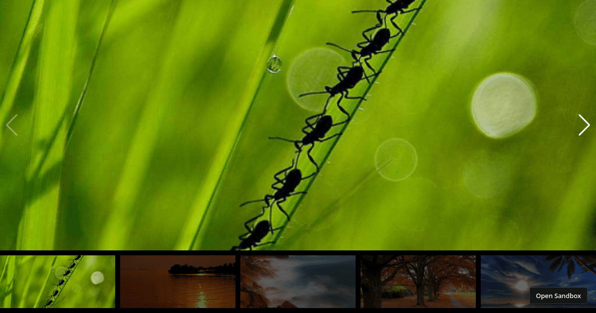 error github swiper-thumbs-gallery (forked) - Codesandbox