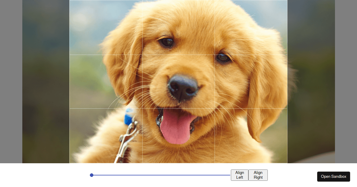 React Easy Crop Forked Codesandbox 2148