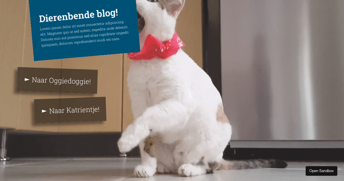 davidvandenbor/html5-video-example - Codesandbox