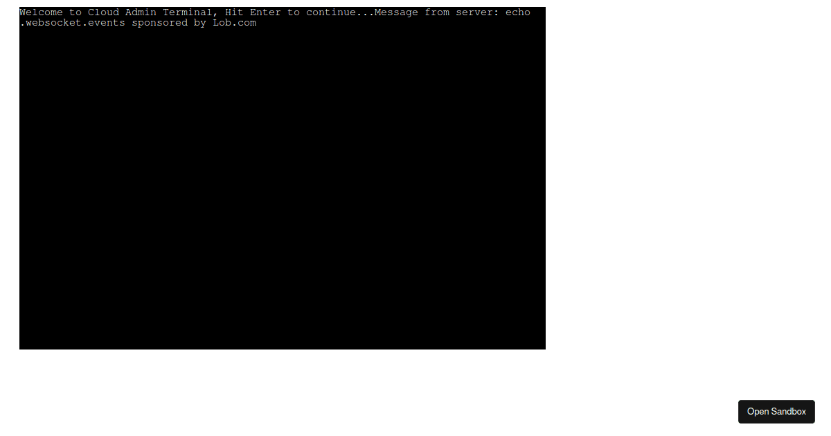 xterm-socket - Codesandbox