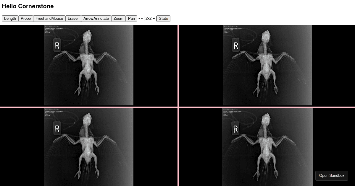 Cornerstone React Spike Forked Codesandbox