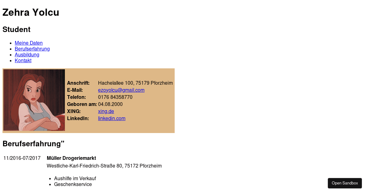 Labor 1 - Lebenslauf - Codesandbox