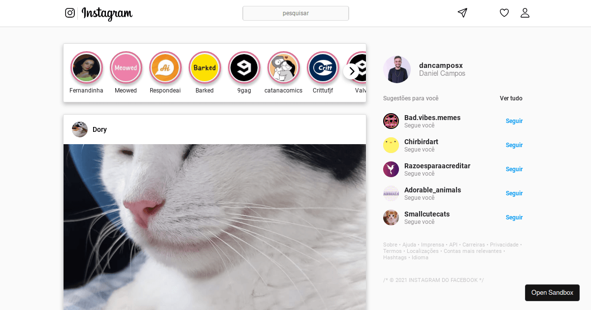 Instagram - Codesandbox