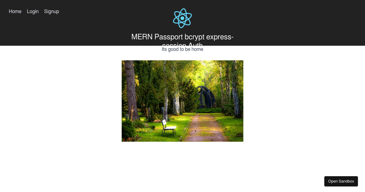 rohan-paul/SignUp-Form-with-Passport - Codesandbox