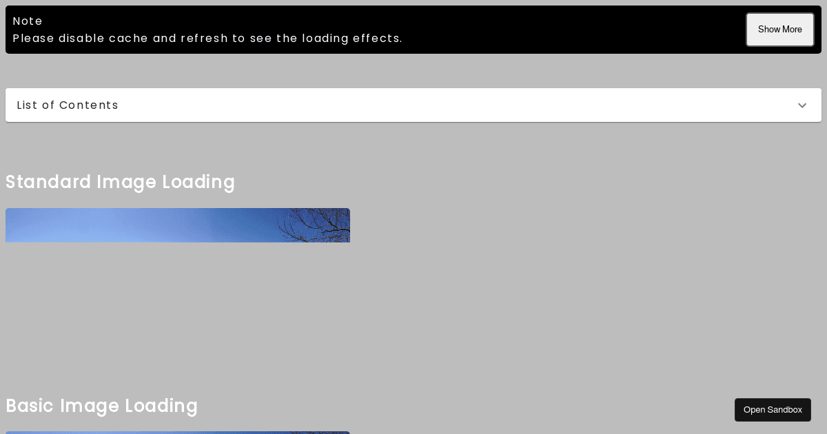Native-Img-Tag-Loaders - Codesandbox