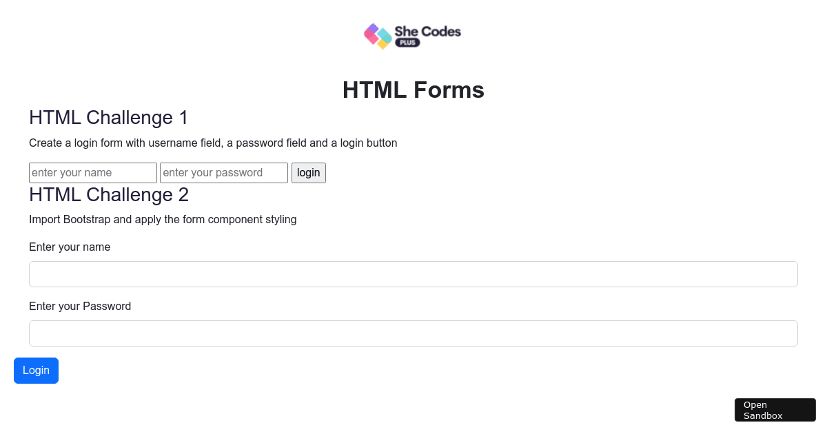 html-forms - Codesandbox