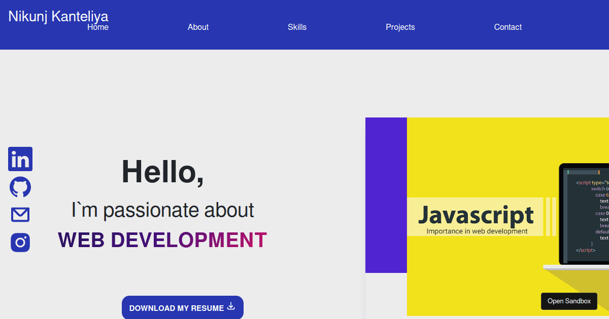 protfolio - Codesandbox