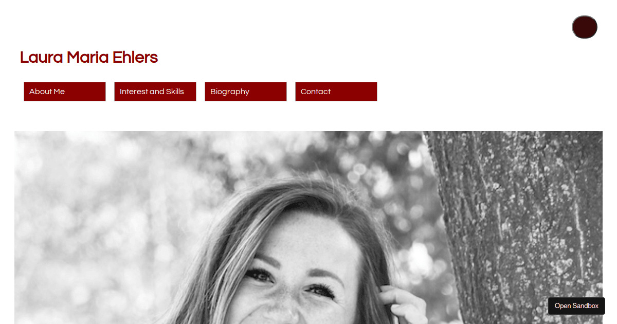 Website Laura Ehlers - Codesandbox