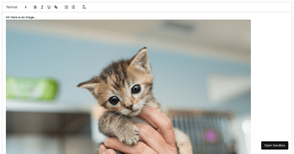quill-blot-formatter demo (forked) - Codesandbox