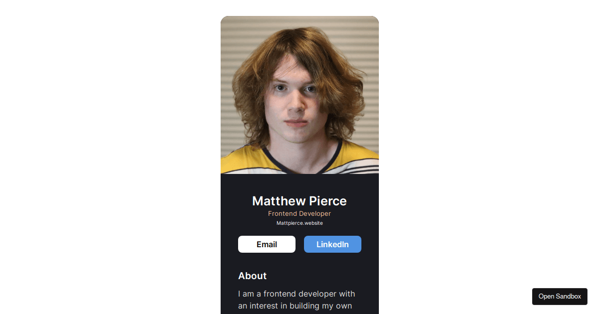 Scrimba- 1st Project - Codesandbox