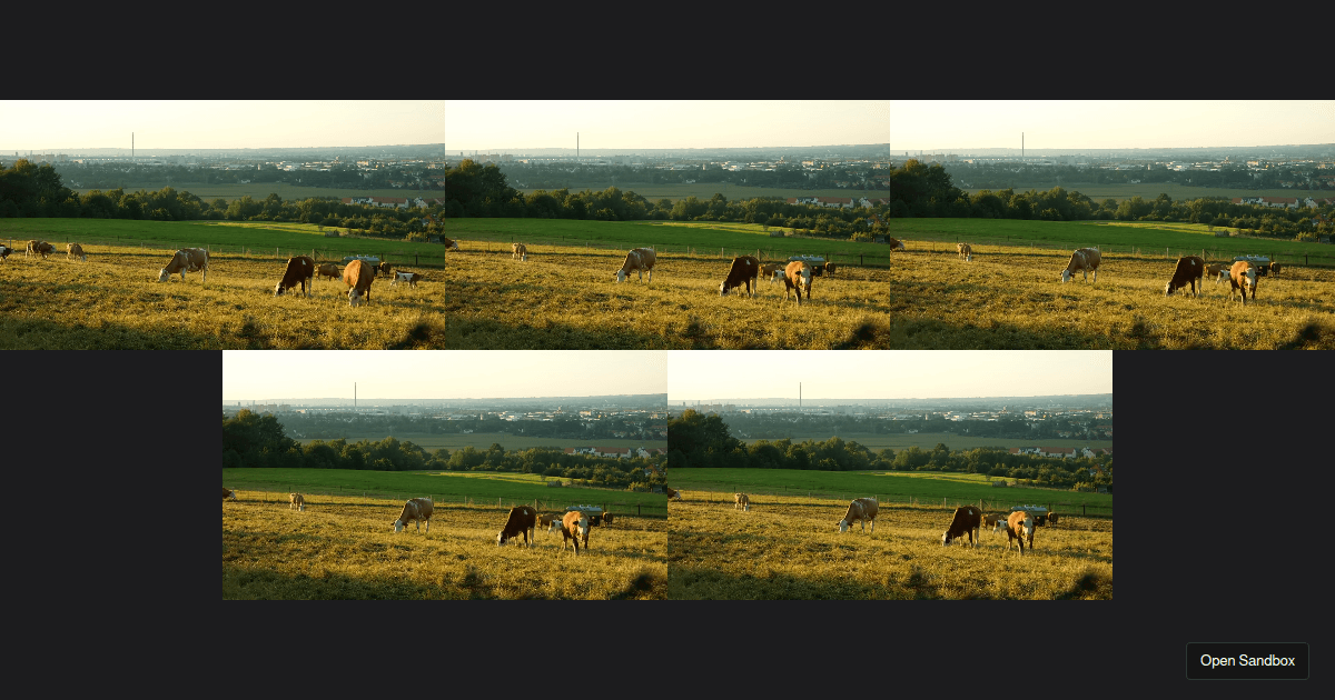 ZOOM video gallery - Codesandbox