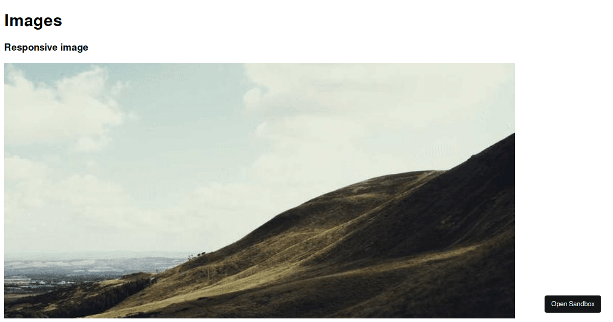 image-input - Codesandbox