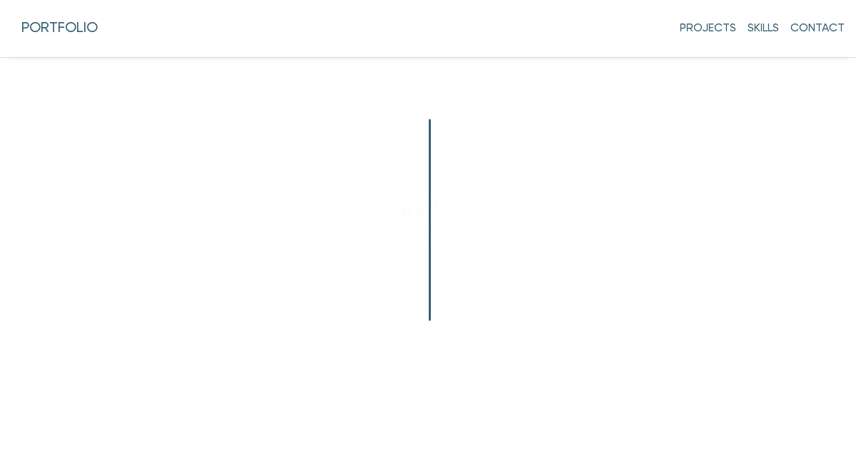 portfolio - Codesandbox