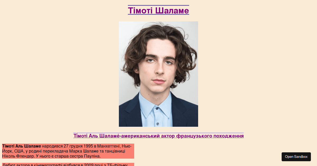 timothy.salame - Codesandbox