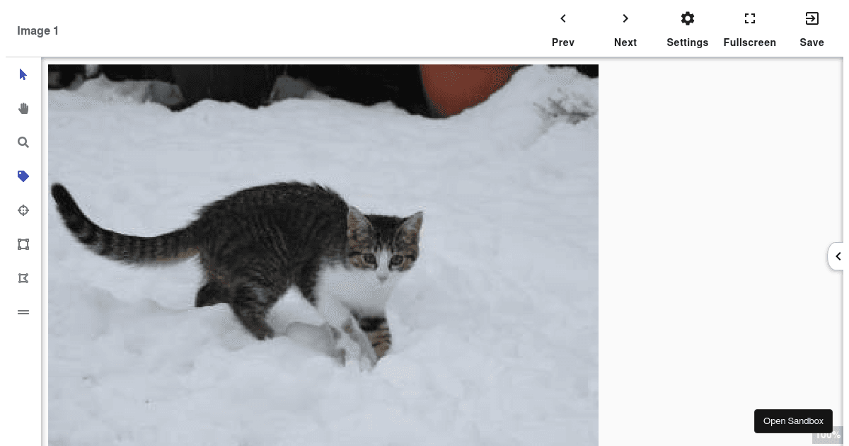 React Image Annotate Example Forked Codesandbox