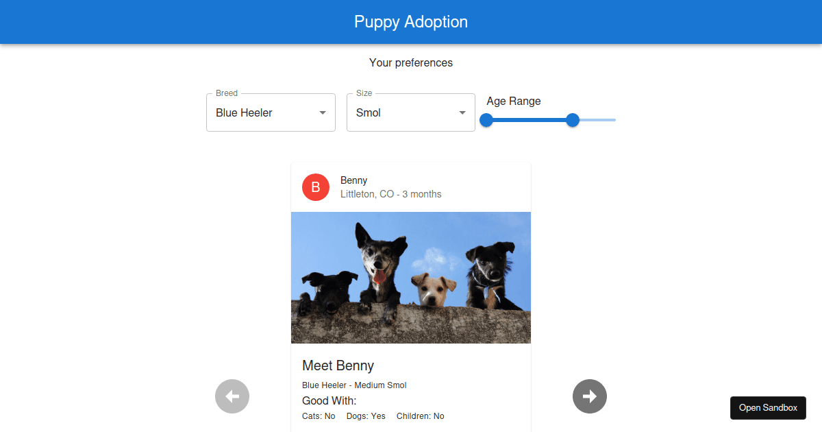 pet-adoption-no-functionality - Codesandbox