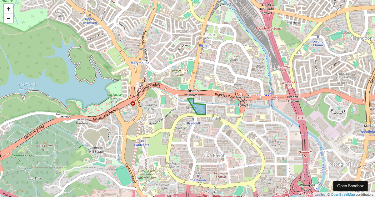 leaflet polygon style (forked) - Codesandbox