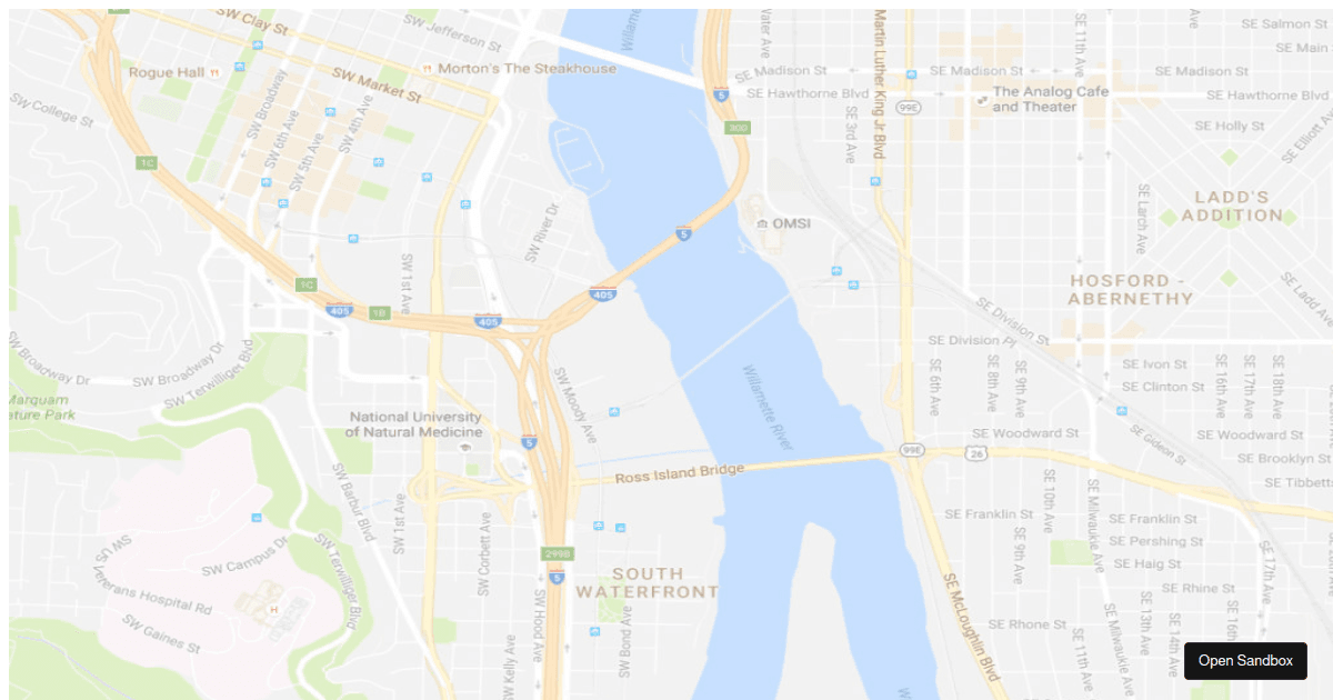 Google map Polyline - Codesandbox