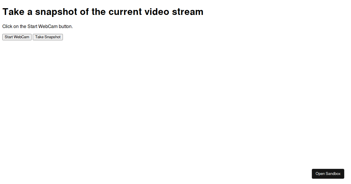 Webcam JS - Codesandbox