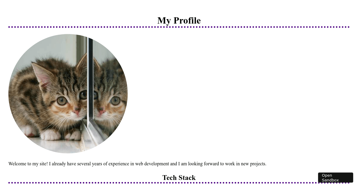 static-html-css - Codesandbox