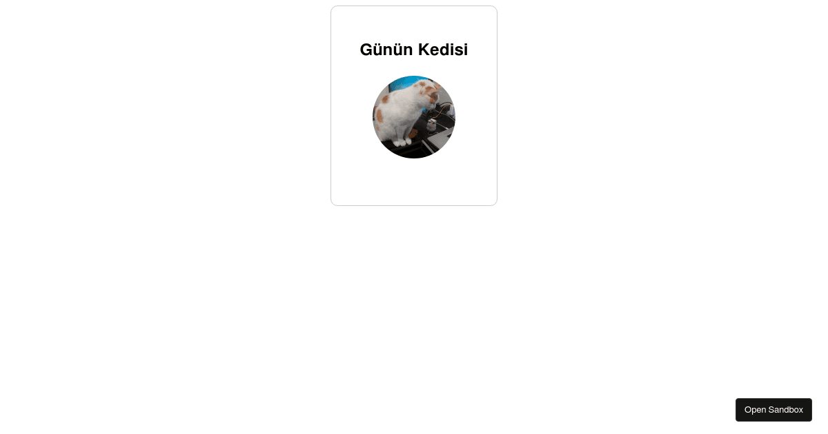 s5g4 - cat of the day - 0523 - live - Codesandbox