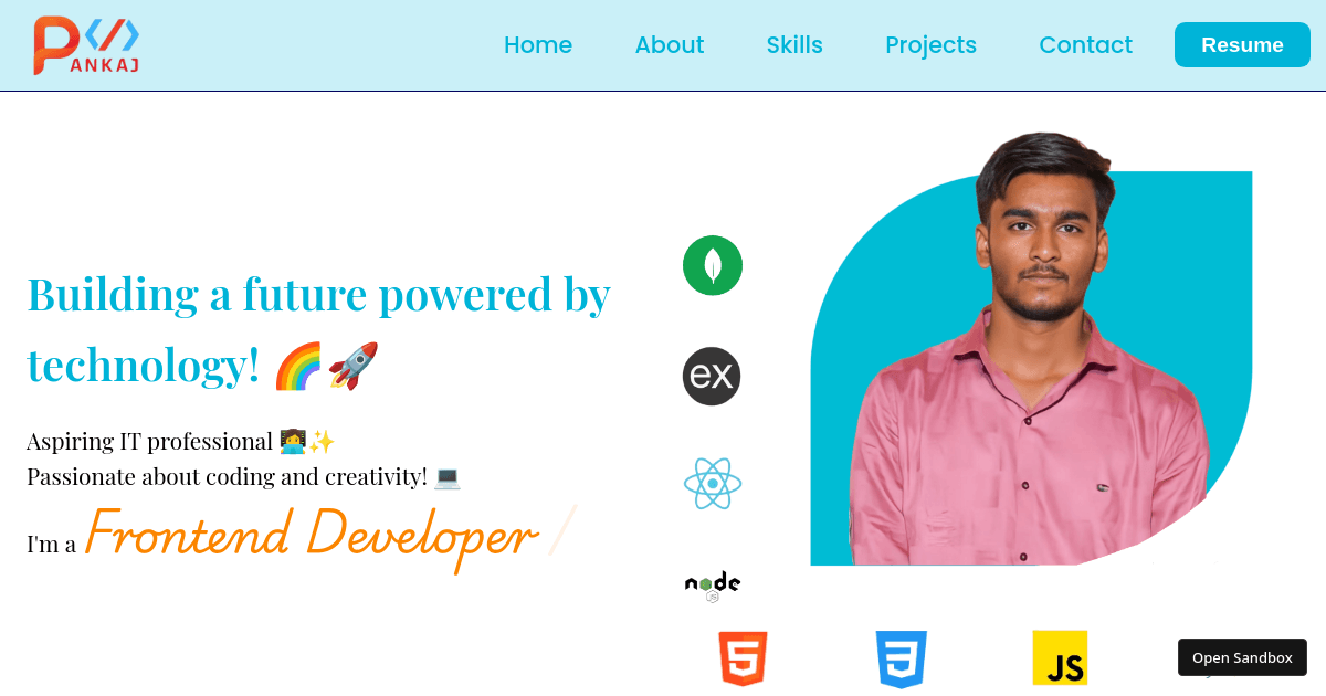 portfolio - Codesandbox