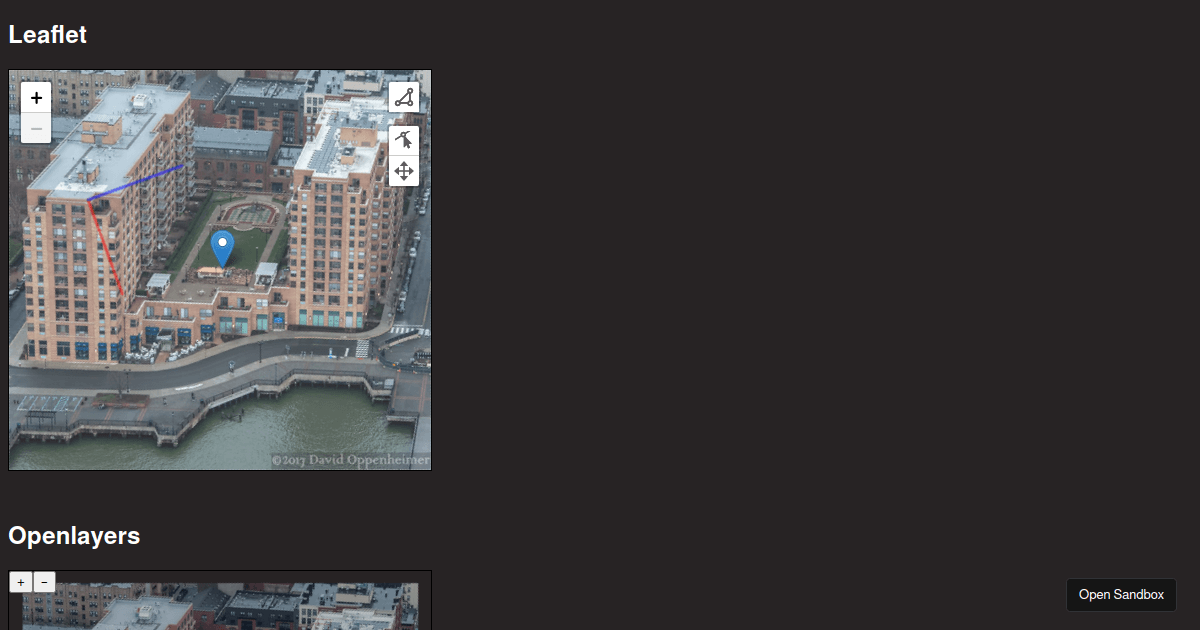 Leaflet Image Rotated and Normalized - Codesandbox