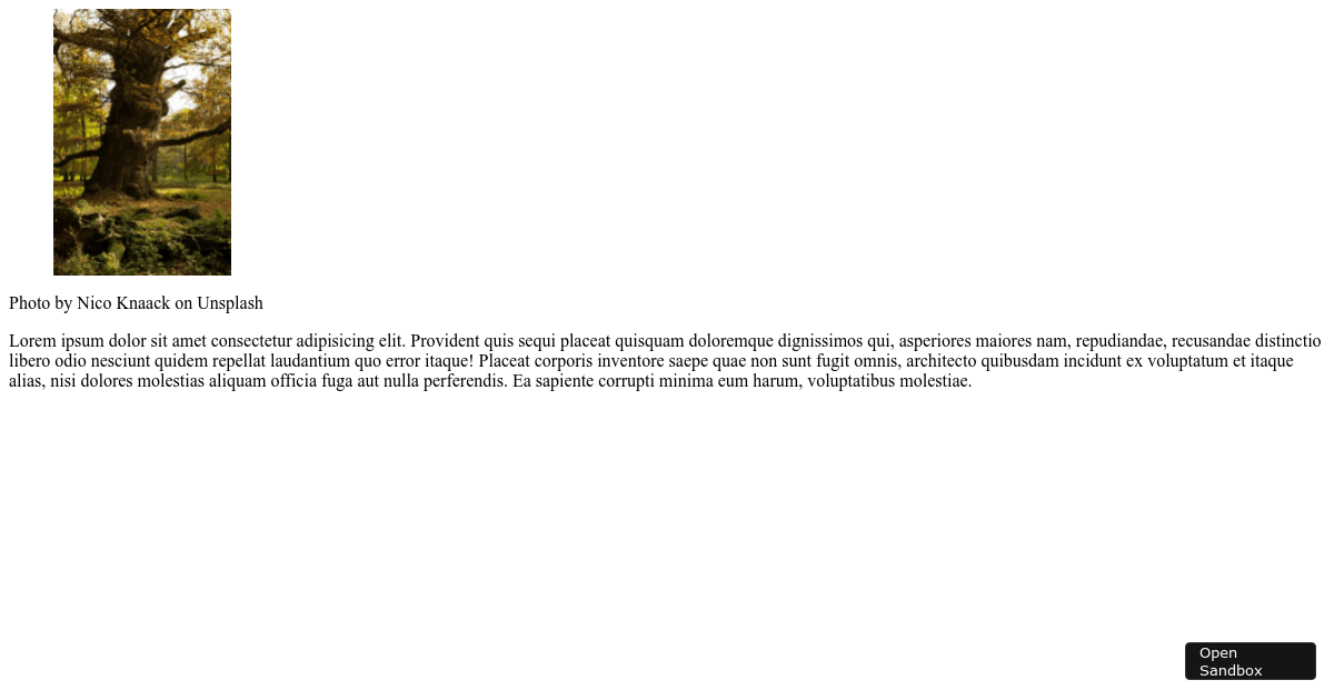 fetch-image-on-priority-using-html - Codesandbox