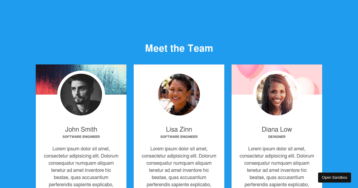 Team Bios - Codesandbox