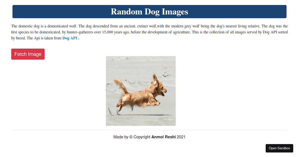 random-dog-generator - Codesandbox